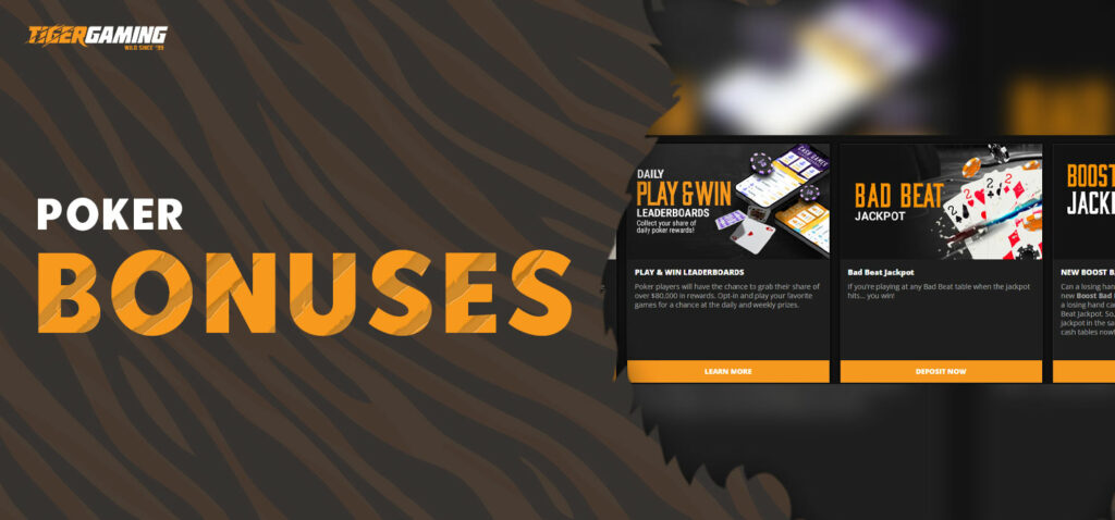 Play Online Poker Games at TigerGaming Official Website