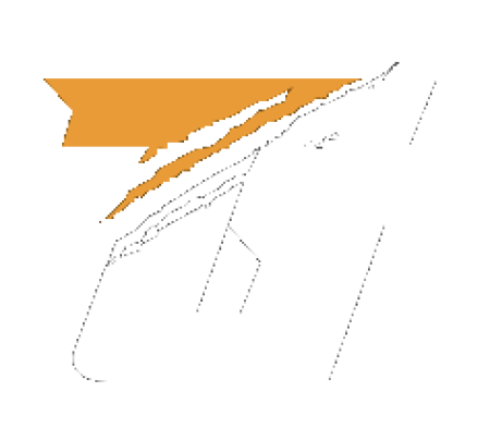 TigerGaming - Official Website for Sports Betting & Casino